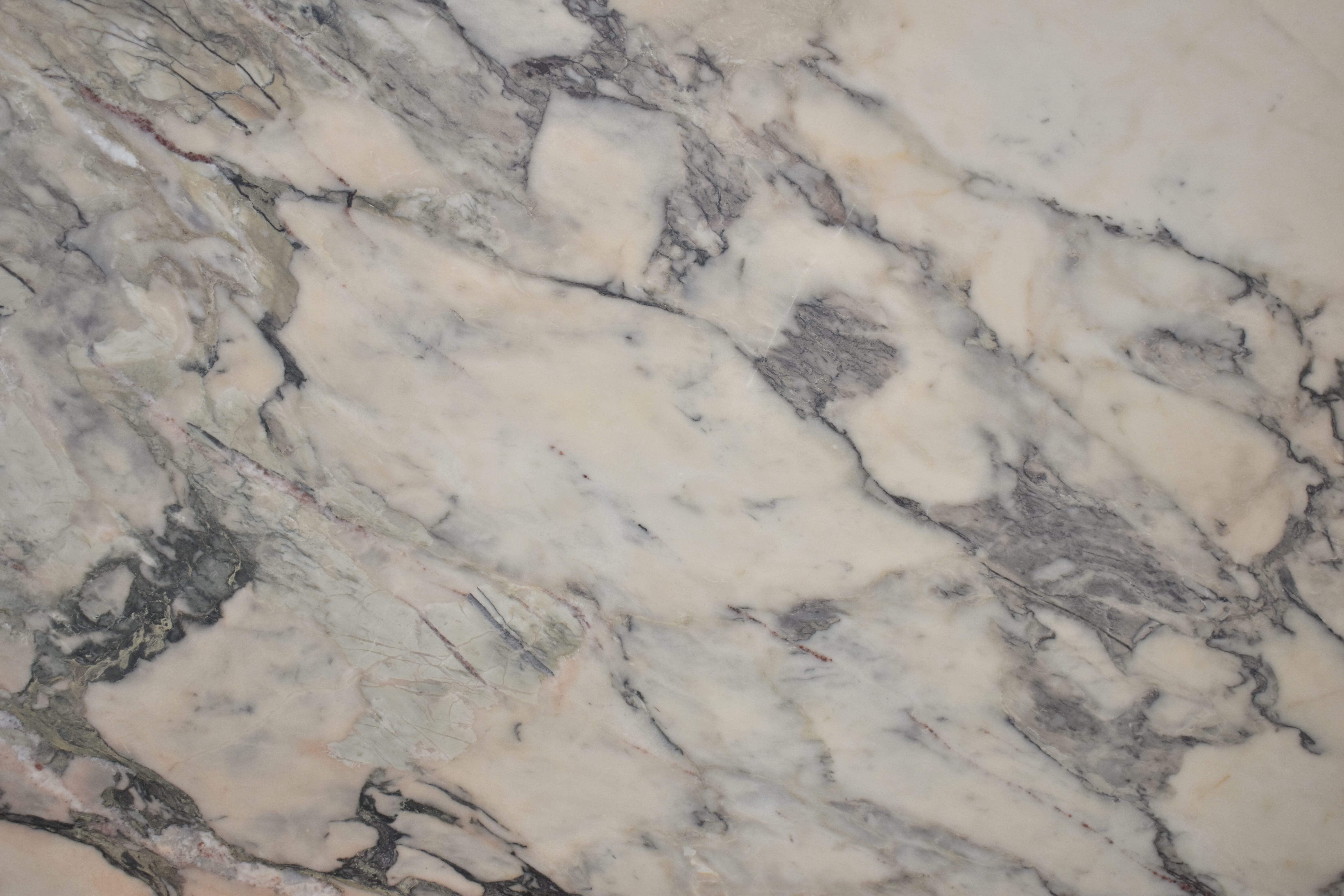 Calacatta Rose Noir Honed - Marble - New Orleans | The Stone Gallery