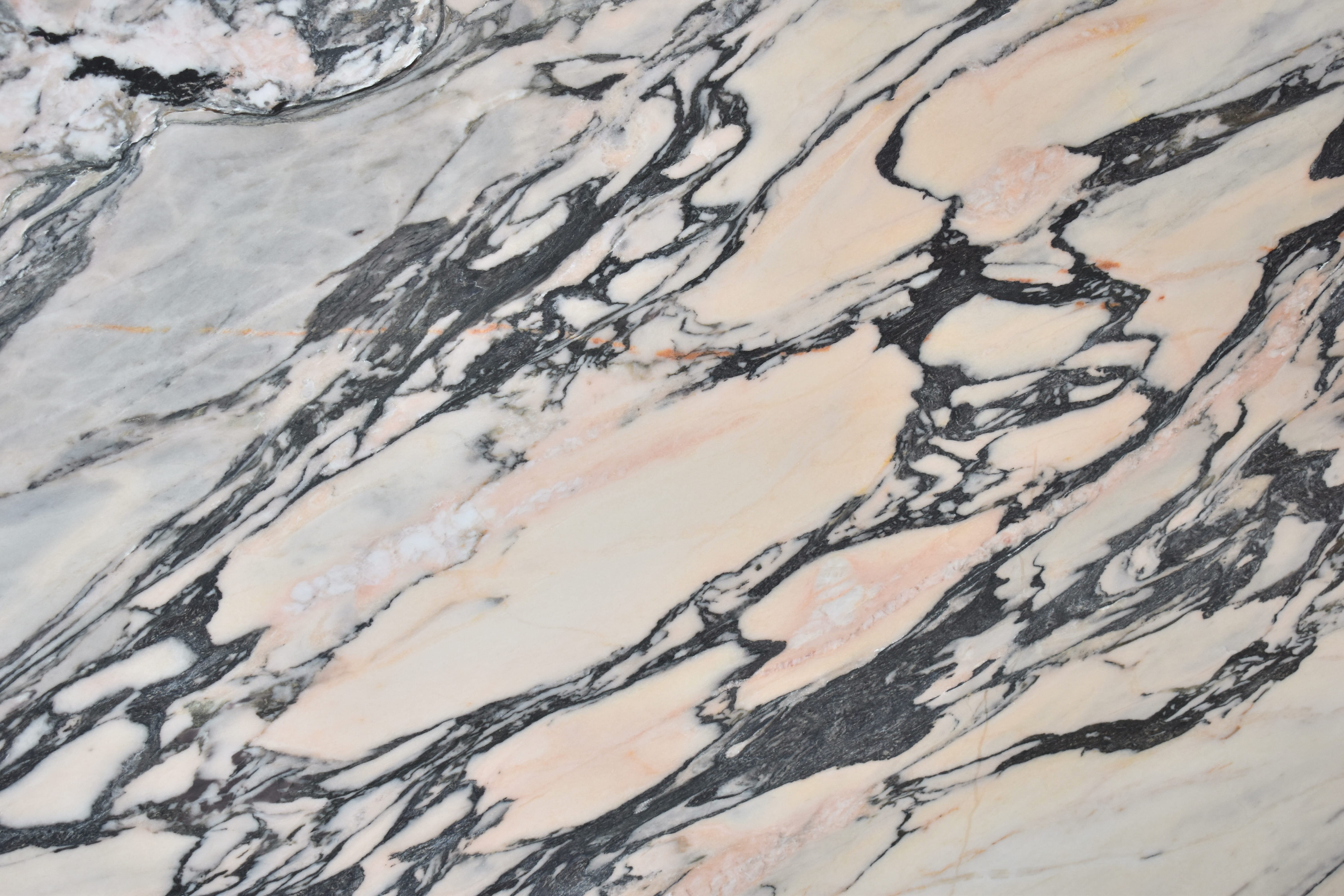 Calacatta Rose Noir - Marble - New Orleans | The Stone Gallery