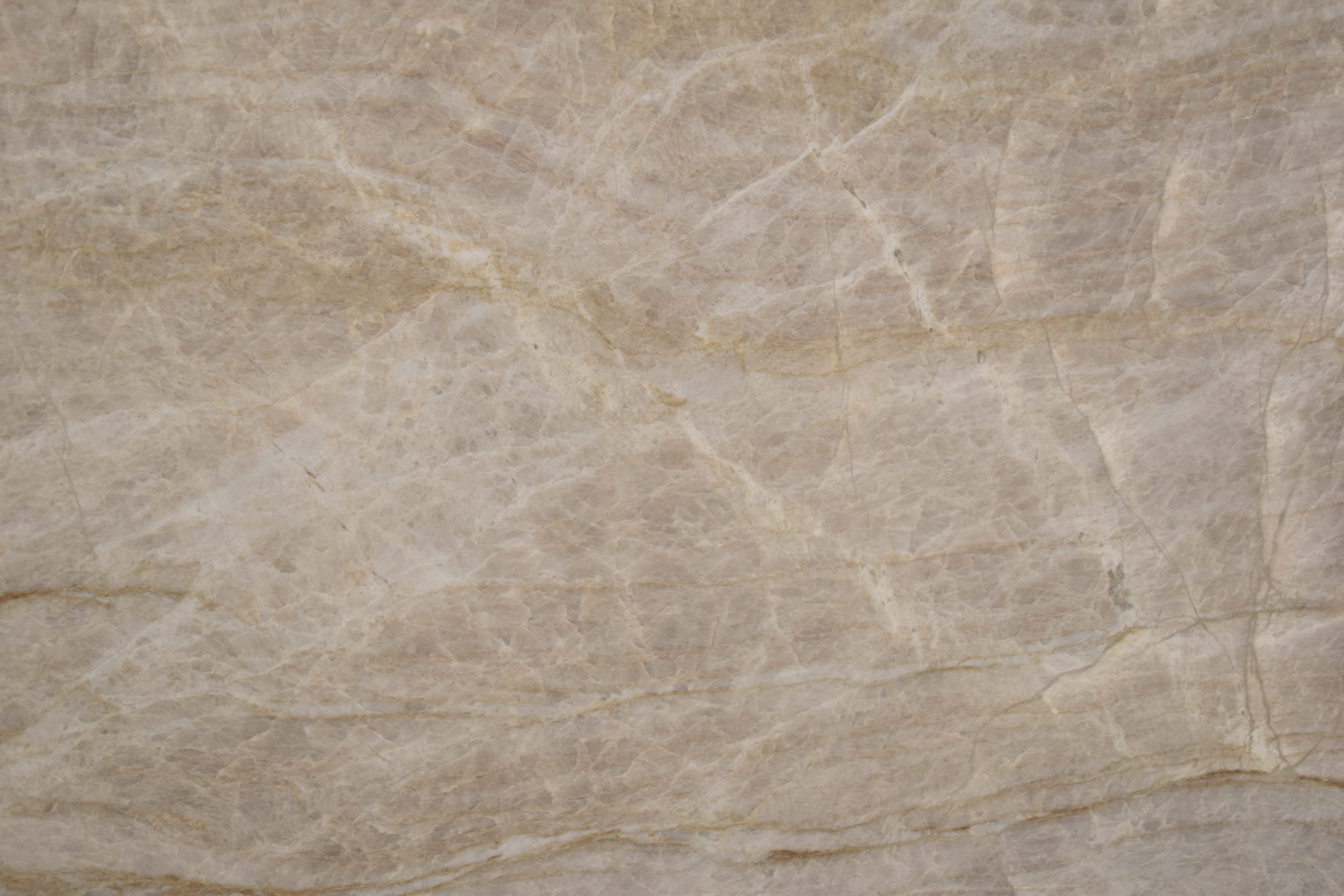 Taj Mahal - Quartzite - New Orleans | The Stone Gallery