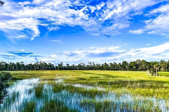 Top California Environmental Attorney | Jennifer F. Novak